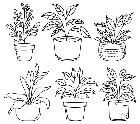 Premium Vector Potted Plant Drawings Set