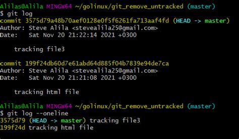 git remove untracked files simplified [do s and don ts] golinuxcloud