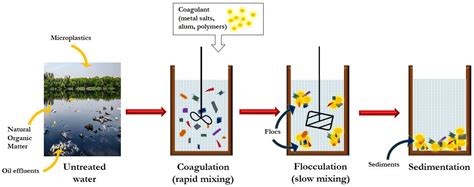 Water Free Full Text Microplastics In The Ecosystem An Overview On