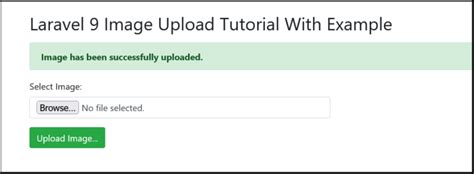 laravel 9 image upload tutorial with example scratch code
