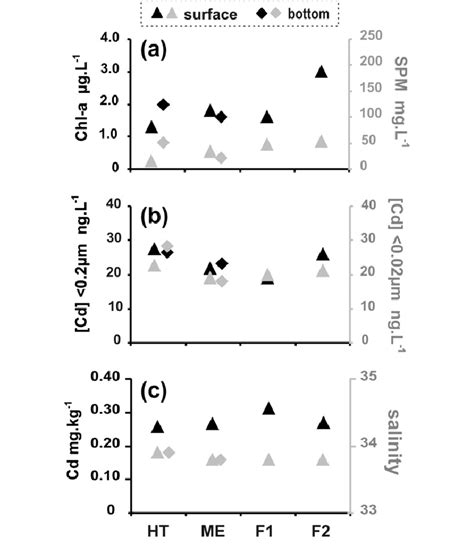 Twelve Hour Tidal Cycle Parameters Variations In Surface And Bottom