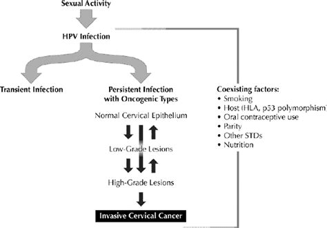 Cervical Cancer Epidemiology Prevention And The Role Of Human