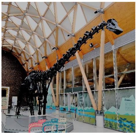 A T From Carnegie Dippy The Dinosaur The Coventry Society