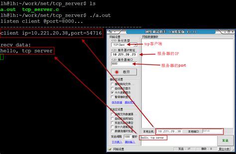 linux网络编程 tcp服务器 linux的tcp服务器 csdn博客