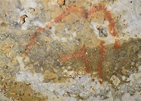 Lady Sapiens Les Femmes Préhistoriques Dun Stéréotype à Lautre