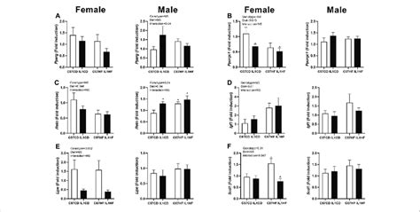 Gene Expression Of Adipogenic Markers In Adipose Tissue Adipose