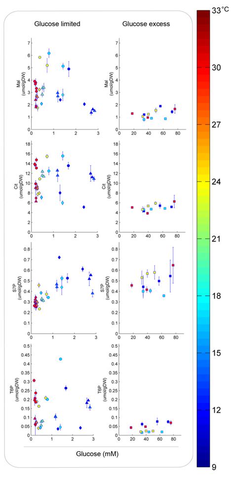 Intracellular Concentrations Of Metabolites From The Tricarboxylic Acid