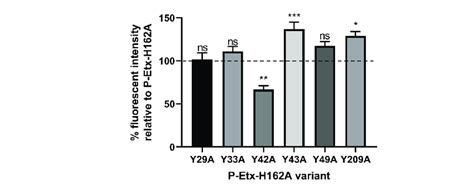 Effect Of Receptor Binding Domain Mutations On The Binding Of P Etx To