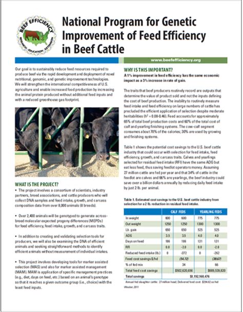 Phenotypic Feed Efficiency National Program For Genetic Improvement