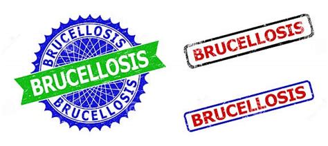 Brucellosis Rosette And Rectangle Bicolor Seals With Rubber Textures
