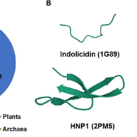 Sources And Structures Of Antimicrobial Peptides Amps A Number Of