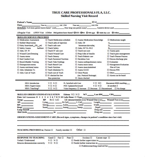Skilled Nursing Documentation Templates The Biggest