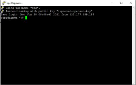 oracle database commands and practical examples oci configuring