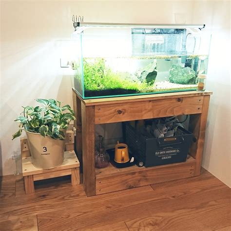 リビング マンションリノベーション 無垢の床 メダカの水槽 水槽のある暮らし などのインテリア実例 2019 09 12 20 16
