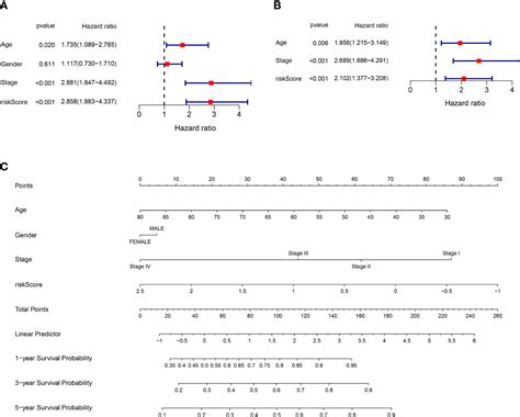 Frontiers A Novel Ferroptosis Related Gene Signature For Prognosis