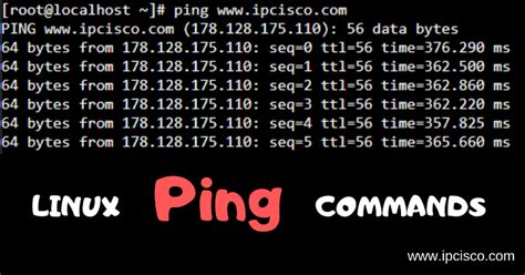 ping command in linux ping command options ⋆ ipcisco