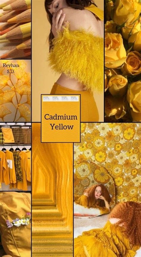 Autumn Winter 2021 2022 Women S Colour Trends Mood Boards Artofit