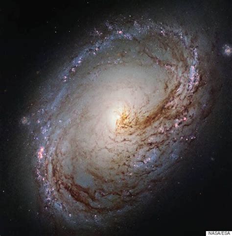 Nasas Hubble Telescope Captures Stunning Image Of Milky Way Type