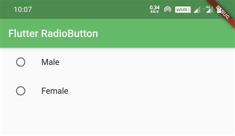 flutter radio button example tutorial codes insider