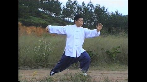Yang Style Tai Ji Quan Tai Chi Long Routine 85 Techniques Fu Qing