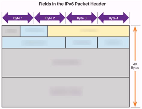 ipv6 packet layout and definitions diagram quizlet