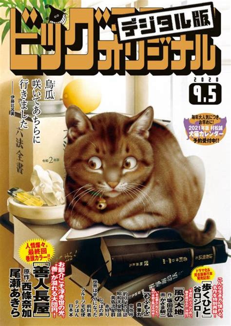 ビッグコミックオリジナル 2020年17号 2020年8月20日発売 ビッグコミックオリジナル編集部 小学館eコミックストア｜無料