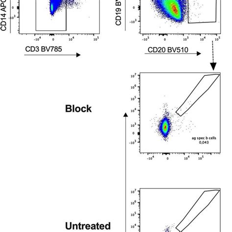 Flow Cytometry Gating Strategy For Identification And Quantification Of