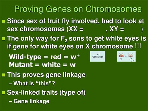 Chromosomal Basis Of Inheritance And Sex Linked Genes Ppt Download