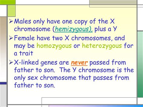 ppt sex linked traits powerpoint presentation free download id 2485227