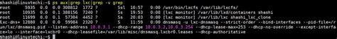 learn how to install lxd lxc containers in ubuntu