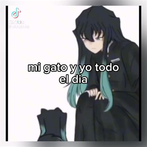 Pin De Damaris En Pins Creados Por Ti Libro De Humor Vidos