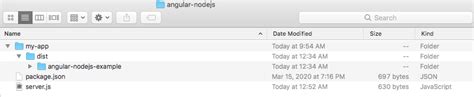 packaging your angular app with nodejs backend for