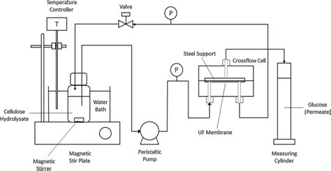 Enzymatic Membrane Reactor Configuration Download Scientific Diagram