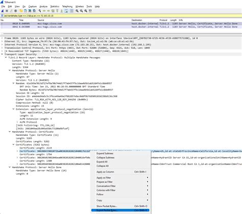 identifying and retrieving tls ssl certificates from a pcap file using