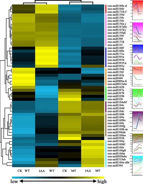 clustering analysis of microrna expression data the mirna