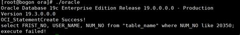 c why am i getting an oci executestm the execution failed error