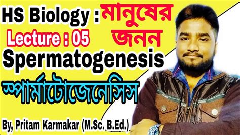 Wbchse Class 12 Biology Chapter 3 Human Reproduction