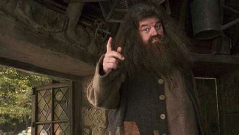 Rubeus Hagrid Wiki •harry Potter• Español Amino