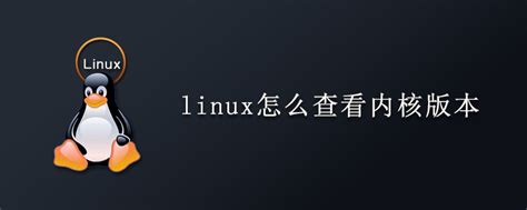 linux怎么查看内核版本 linux查看linux内核版本 实验室设备网