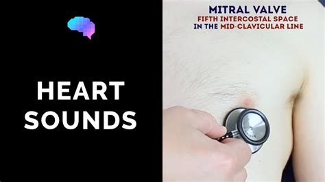 Heart Murmur Sounds Cardiac Auscultation Sounds Ukmla Cpsa Youtube