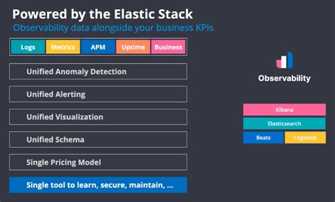 elastic emergence as a search and observability platform vedcraft