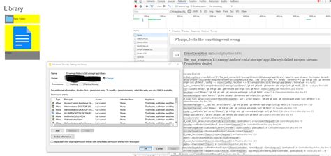 here a picture of my permissions under windows with the error