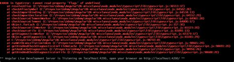 typescript angular error in typeerror cannot read property flags