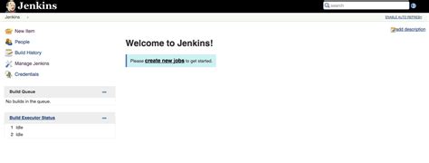 deploying jenkins docker image using amazon ec2 container