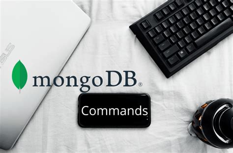 mongodb commonly used commands with examples logical sapien
