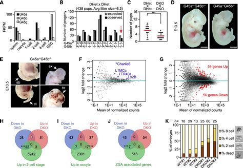 Gadd45 Promotes Locus Specific Dna Demethylation And 2c Cycling In