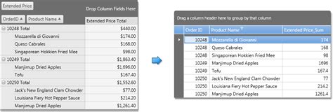 pivotsummarydatasource class wpf controls devexpress