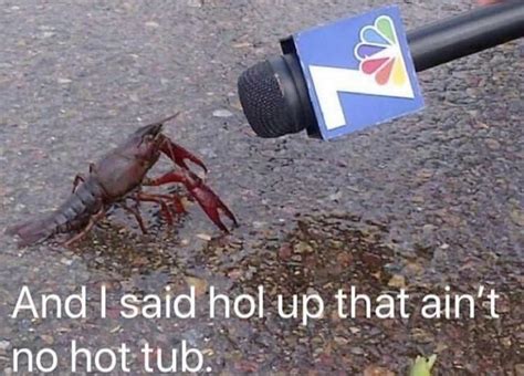 Always Makes Me Laugh Holup