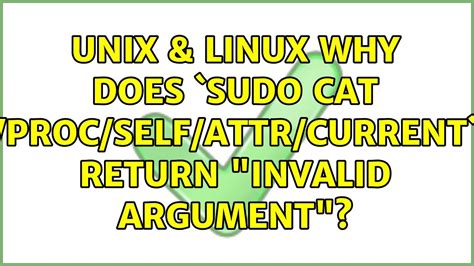 unix and linux why does `sudo cat proc self attr current` return
