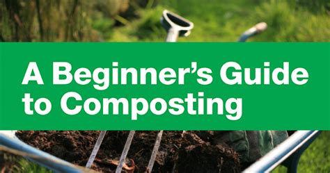 Our Beginners Guide To Composting Foodwise